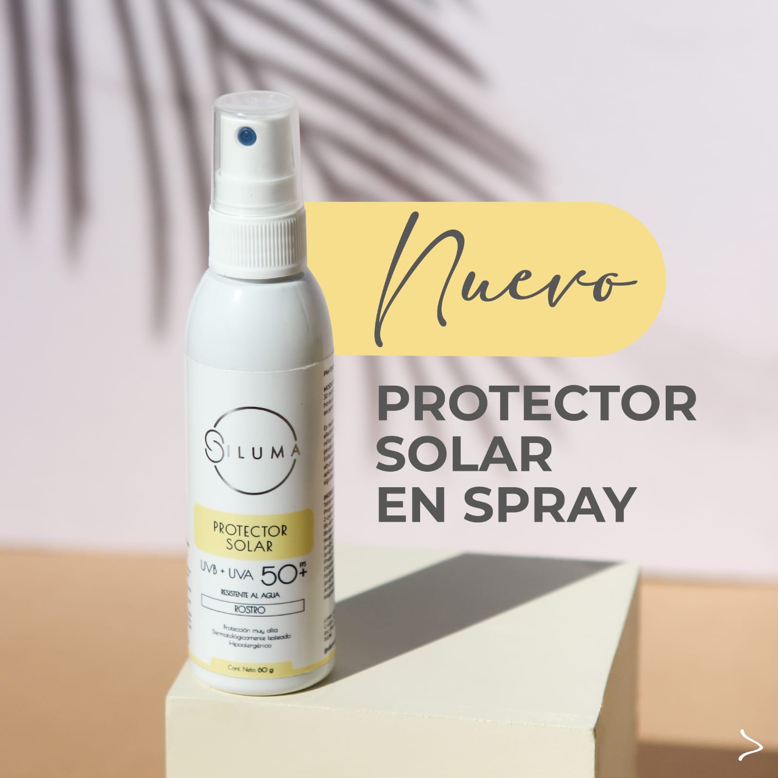 PROTECTOR SOLAR SPRAY ROSTRO – Resistente al agua – La Profesional ...